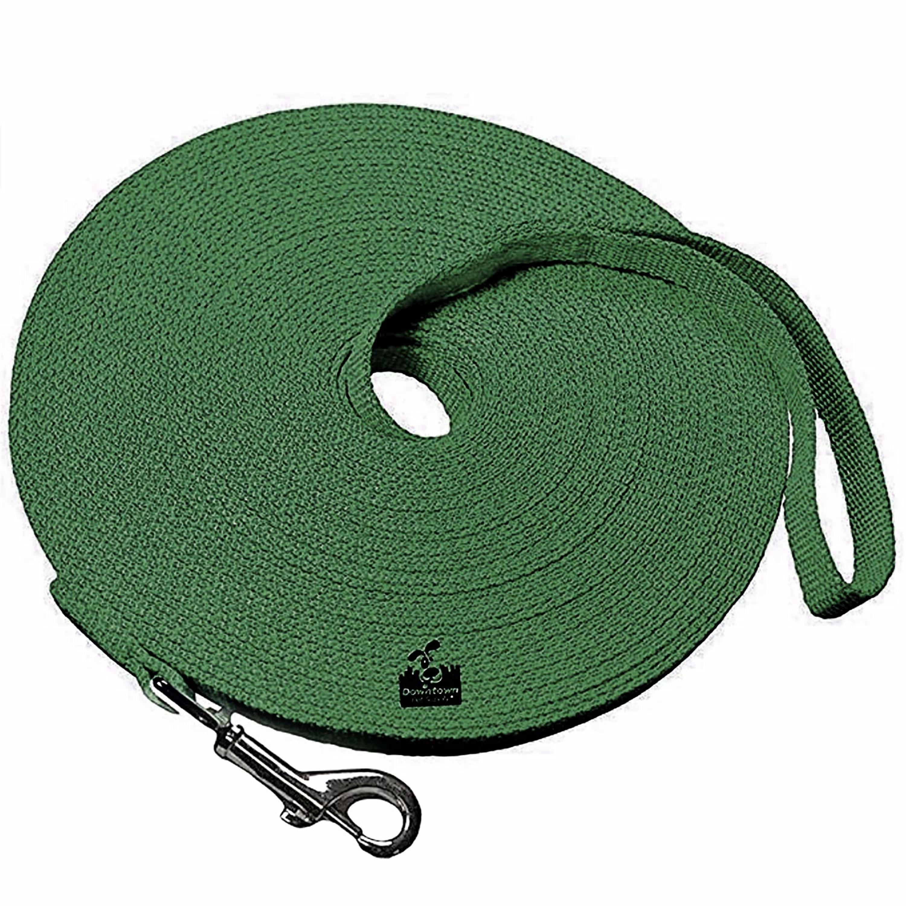 Downtown Pet Supply Long Lead Leash for Dog Training, Hunter Green, 100 ...