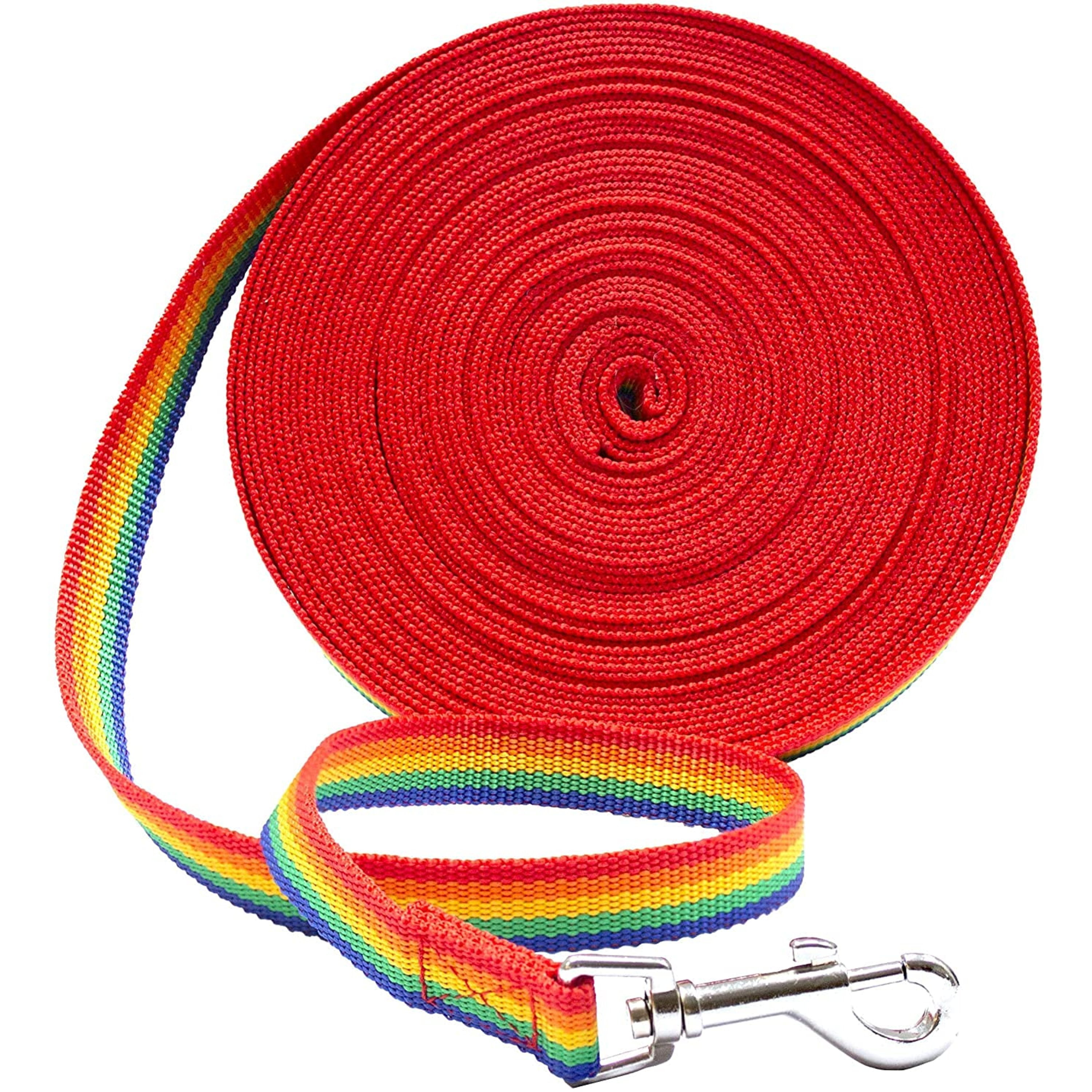 Downtown Pet Supply Long Lead Leash for Dog Training, Rainbow, 150' Dog ...