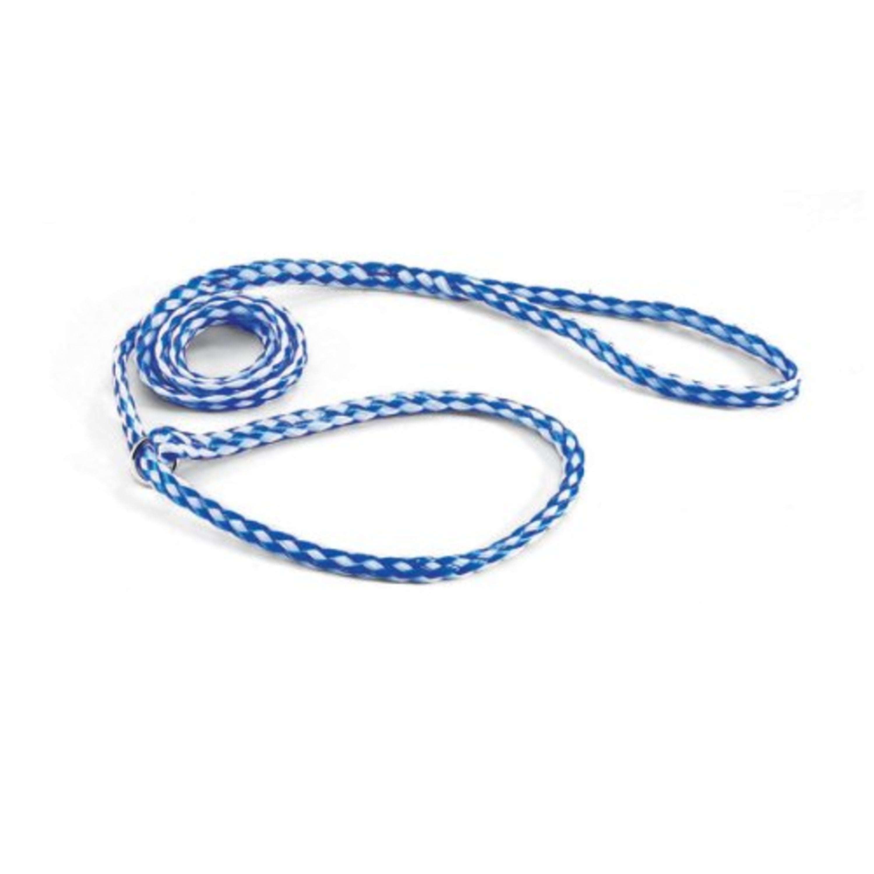 Downtown Pet Supply Braided Polyethylene Slip Lead Leash, Light Blue, 5 ...