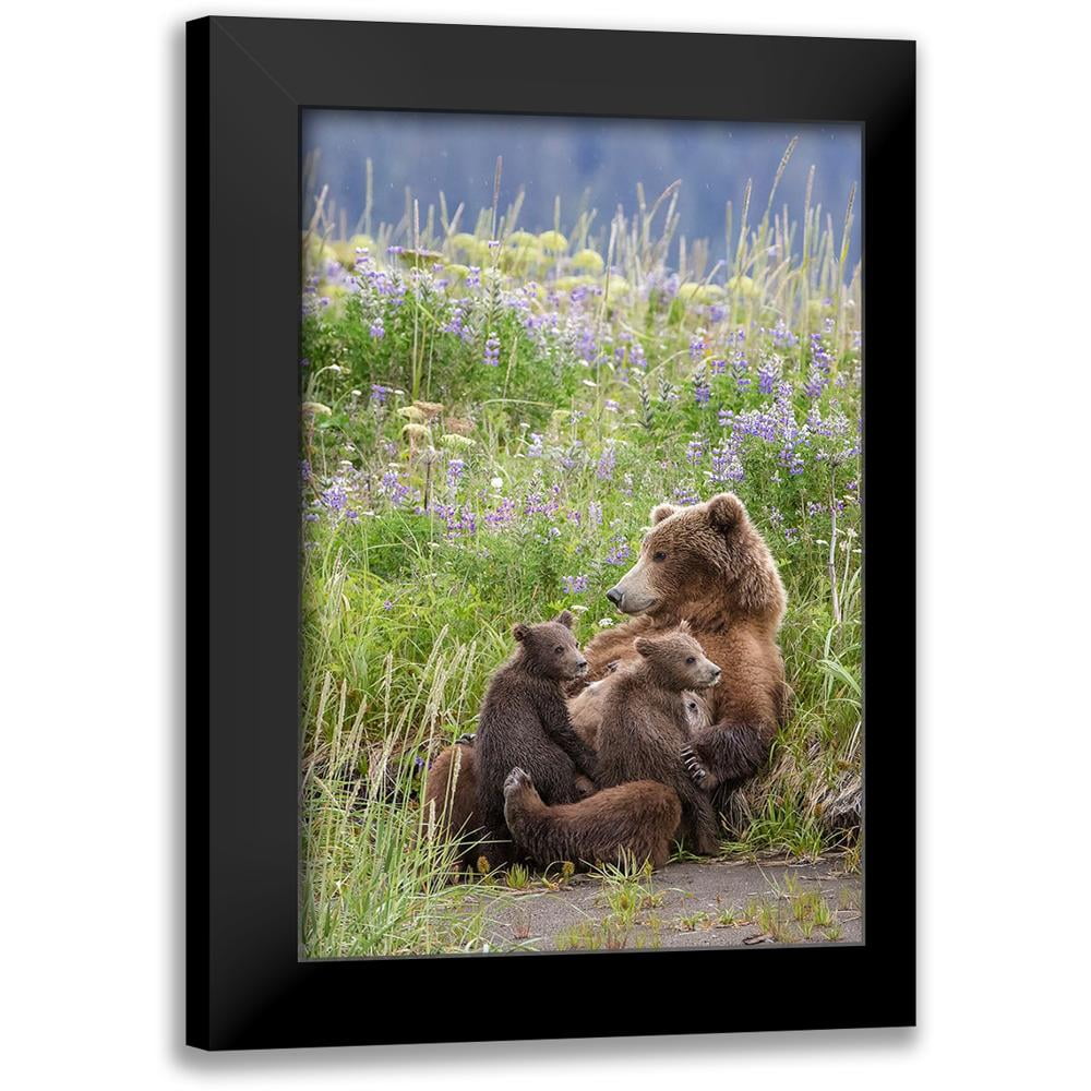 Doyle, Renee 11x14 Black Modern Framed Museum Art Print Titled - In A ...