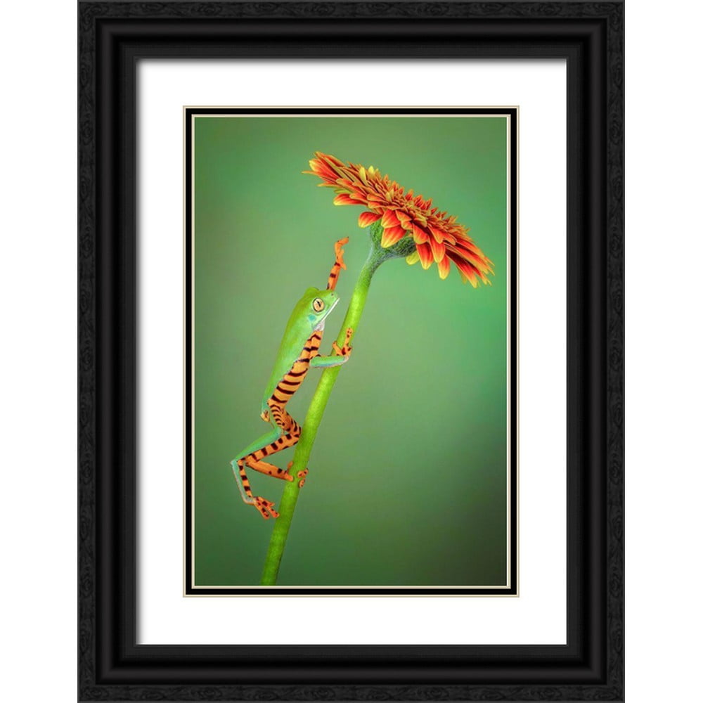 Doyle, Renee 13x18 Black Ornate Wood Framed with Double Matting Museum ...