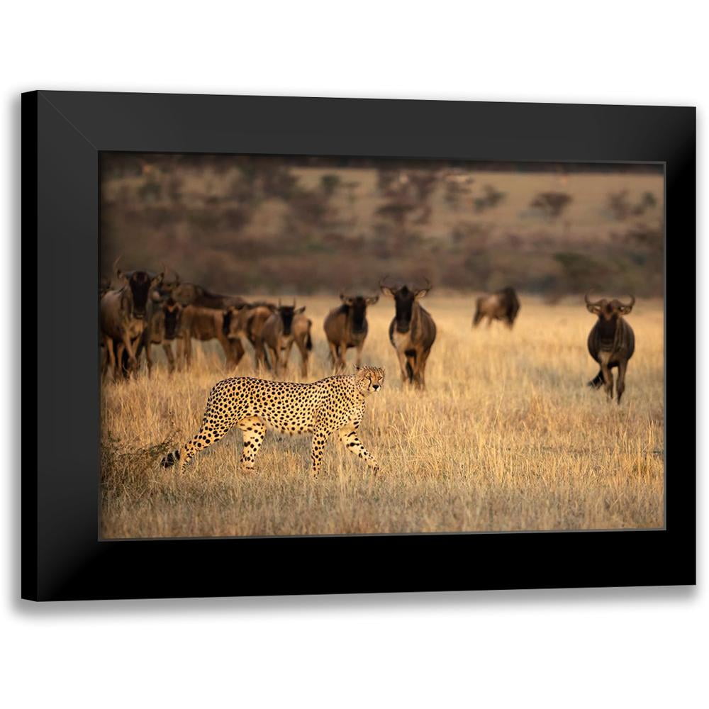 Doyle, Renee 24x17 Black Modern Framed Museum Art Print Titled - On The ...