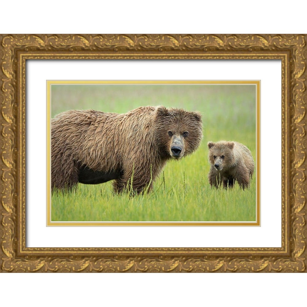 Doyle, Renee 24x17 Gold Ornate Wood Framed with Double Matting Museum ...
