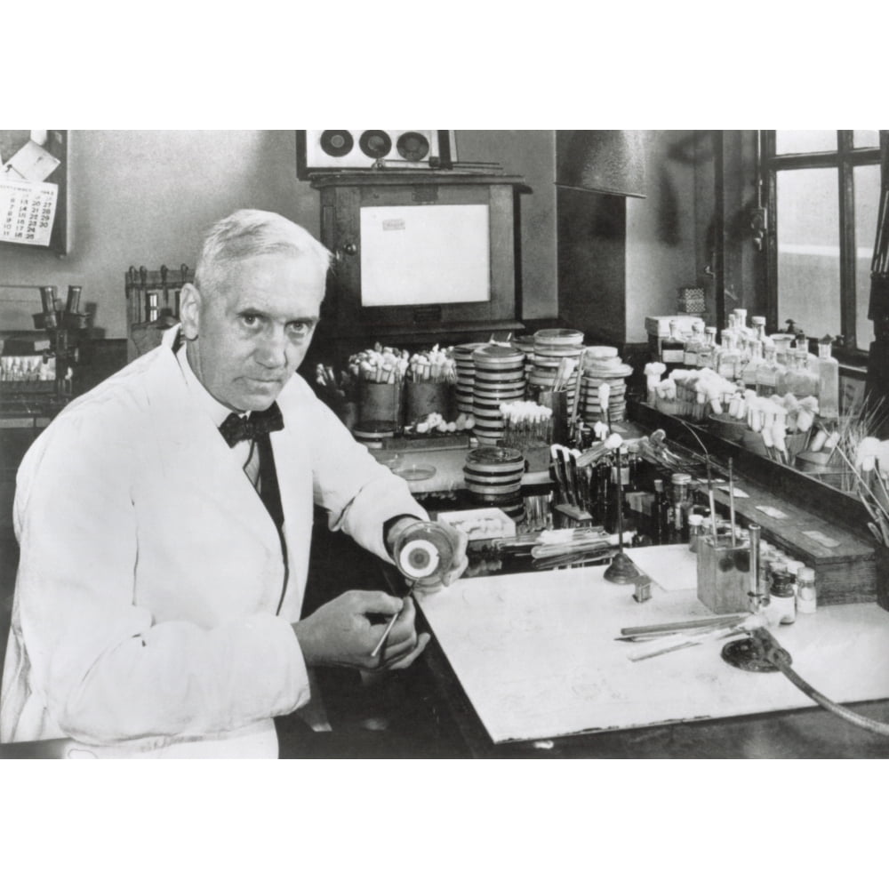 Dr. Alexander Fleming History (36 x 24) - Walmart.com