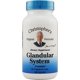 Dr. Christopher's Original Formulas Glandular System Formula Capsules, 100 Ct - Walmart.com