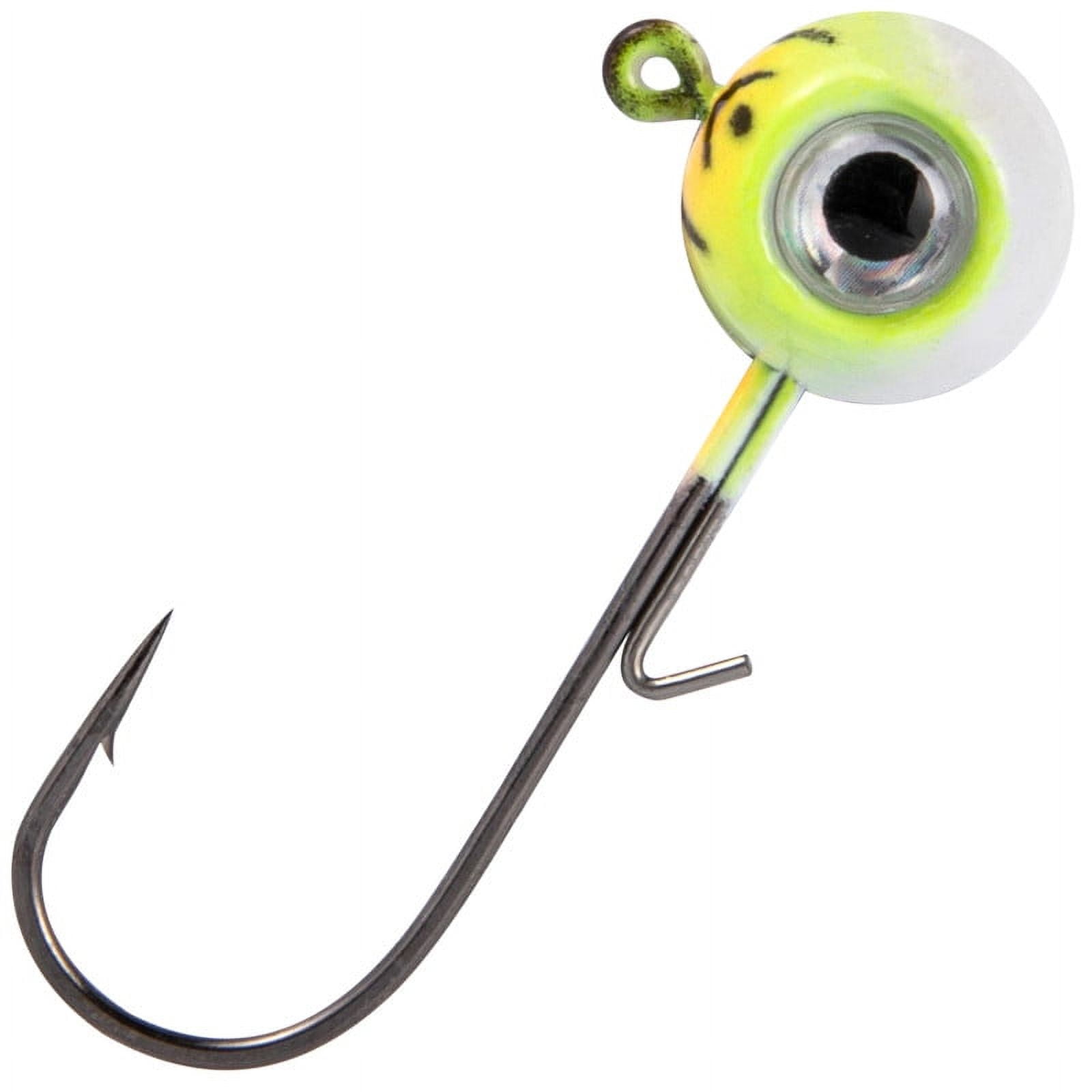 Dr.Fish 10 Pack 3D Eye Fishing Jig Heads Freshwater Fishing Jigs for ...