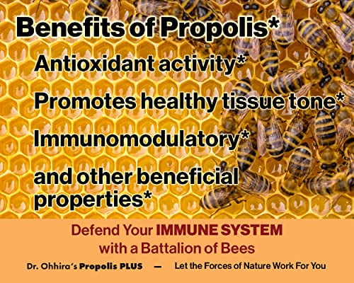 Dr. Ohhira's Propolis Plus with Brazilian Green Propolis, 120 Capsules ...