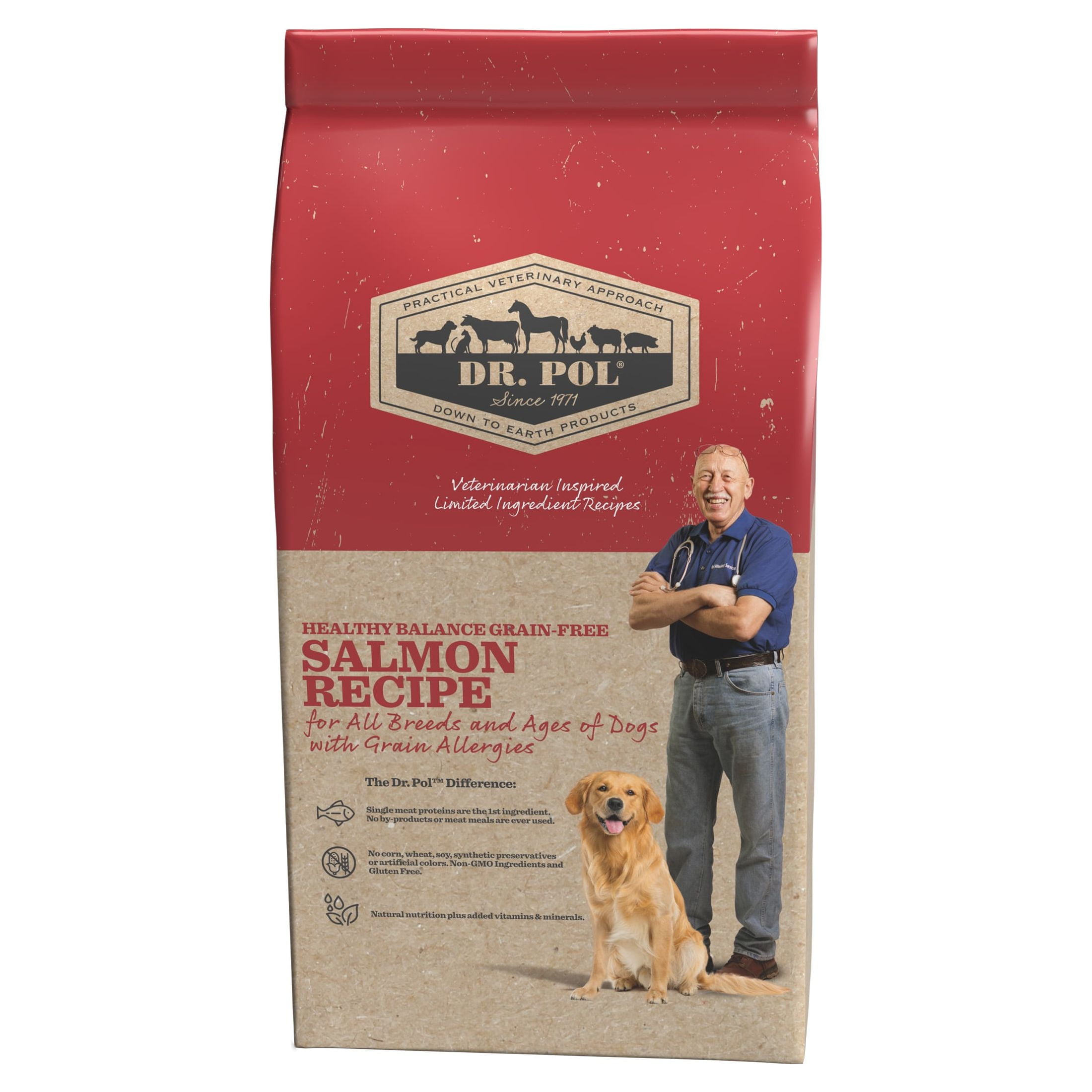 Dr. Pol Healthy Balance Grain-Free Salmon Recipe Adult Dog Food, 4 lb ...