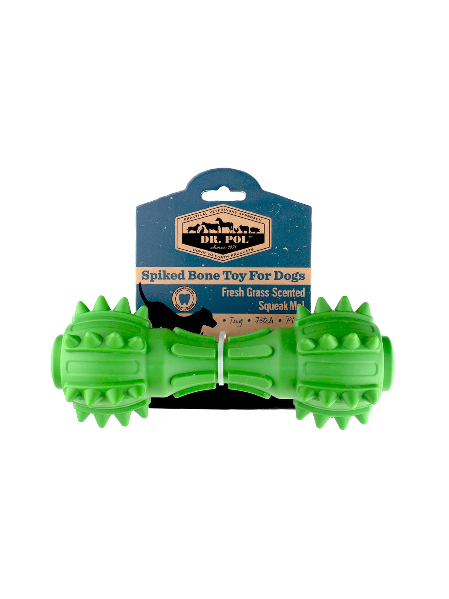 Dr. Pol TPR Spiked Squeak Bone- Green Dog Toy - Walmart.com