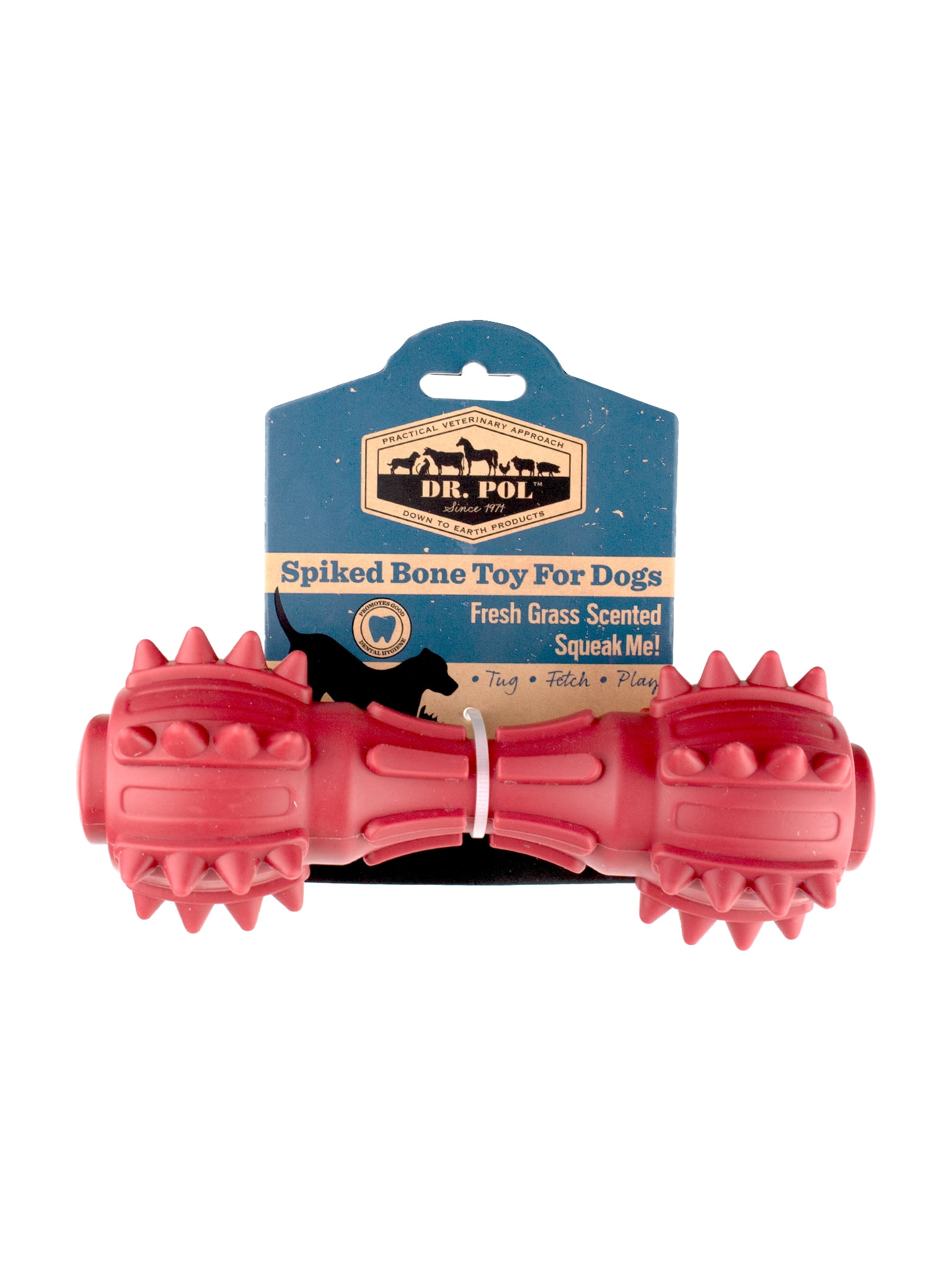 Dr. Pol TPR Spiked Squeak Bone- Red Dog Toy - Walmart.com