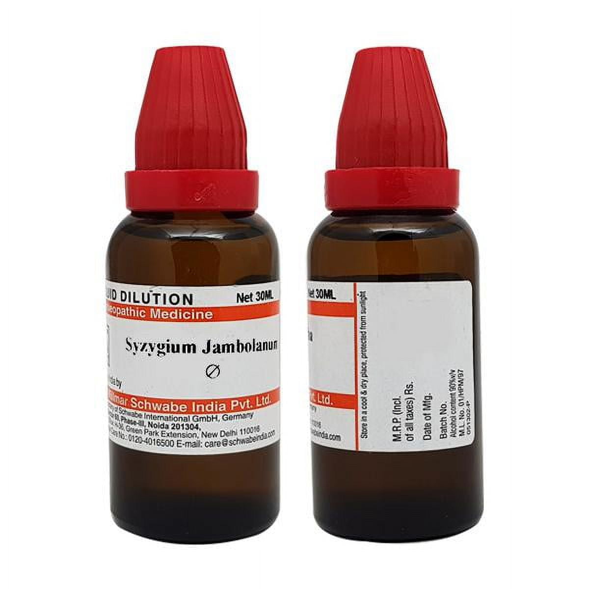 Dr Willmar Syzygium Jambolanum Mother Tincture 30ml