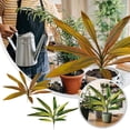 Dracaena Leaves Branches for Indoor Home Arrangement Greenery - Flowers ...