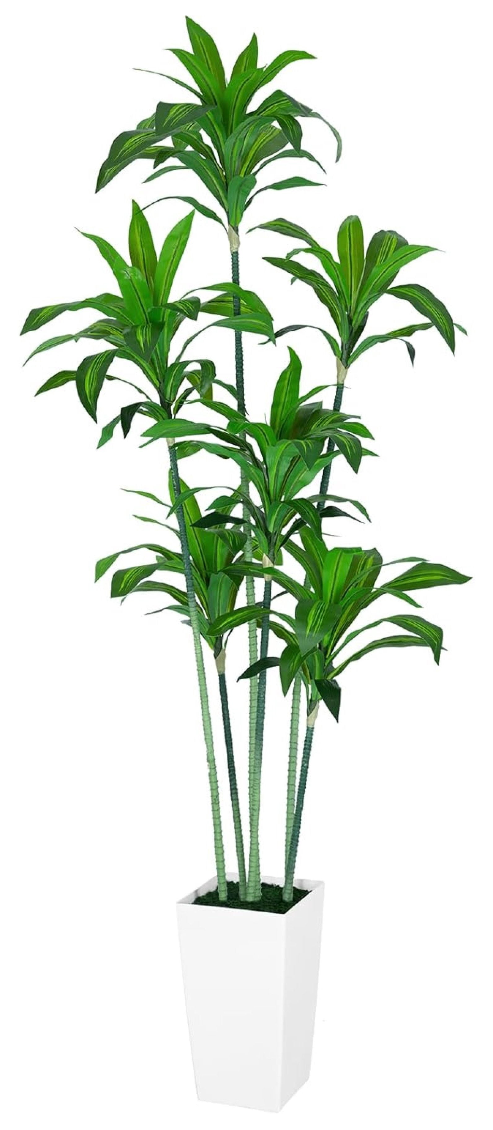 Dracaena Trees Artificial Indoor, 7FT Tall Faux Tree with White Tall ...