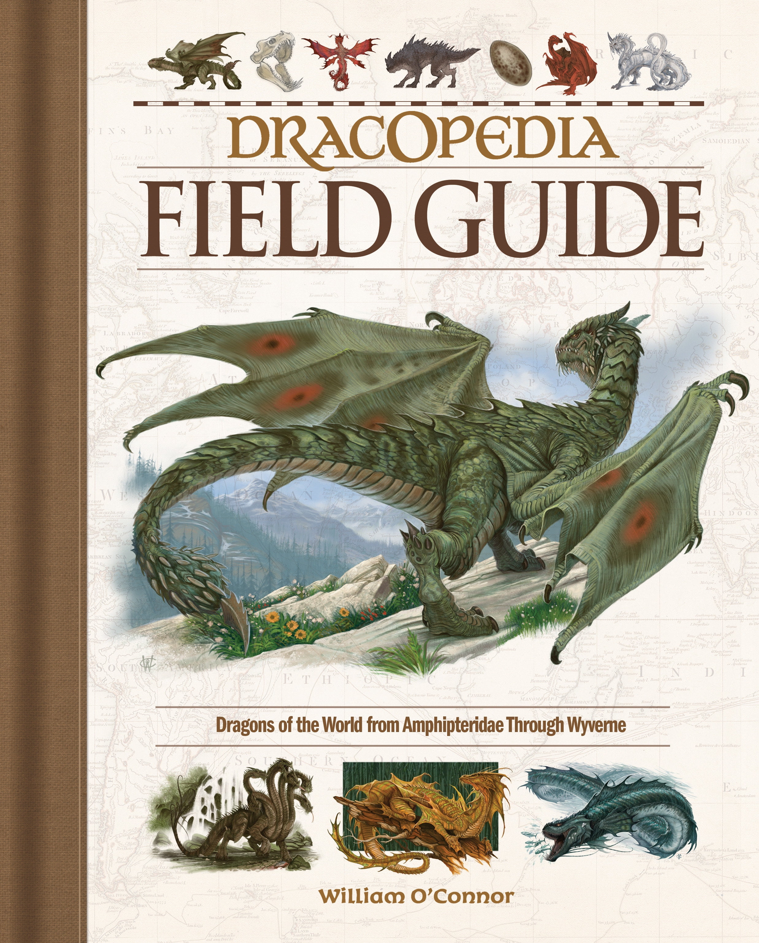 Dracopedia Field Guide : Dragons of the World from Amphipteridae ...
