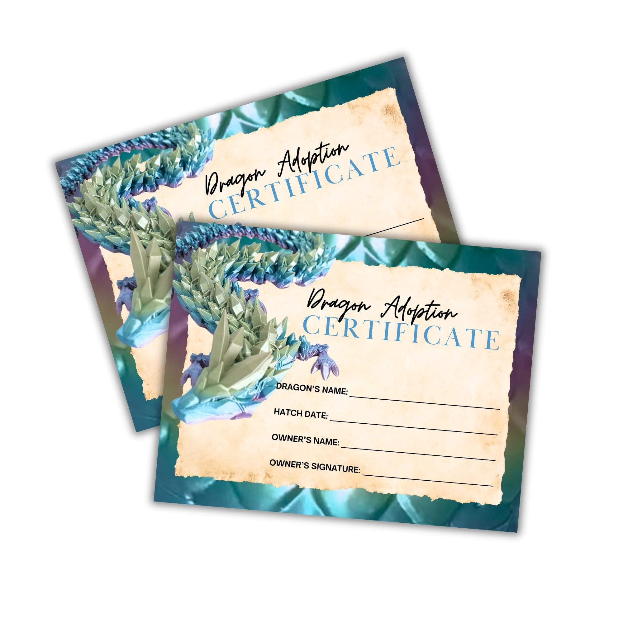 Dragon Adoption Certificate 30 pk 8.5x11 for Use with 3D Printed Egg ...