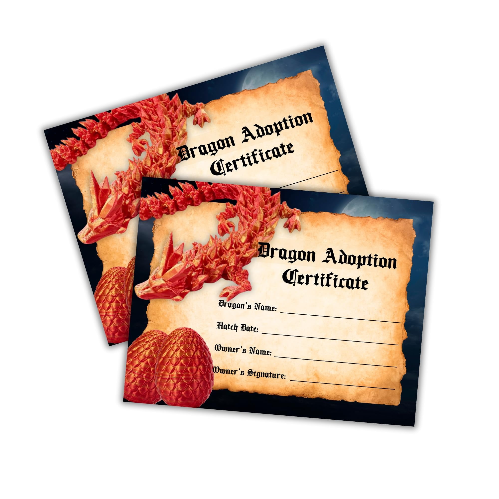 Dragon Adoption Certificate 30 pk 8.5x11 for Use with 3D Printed Egg ...