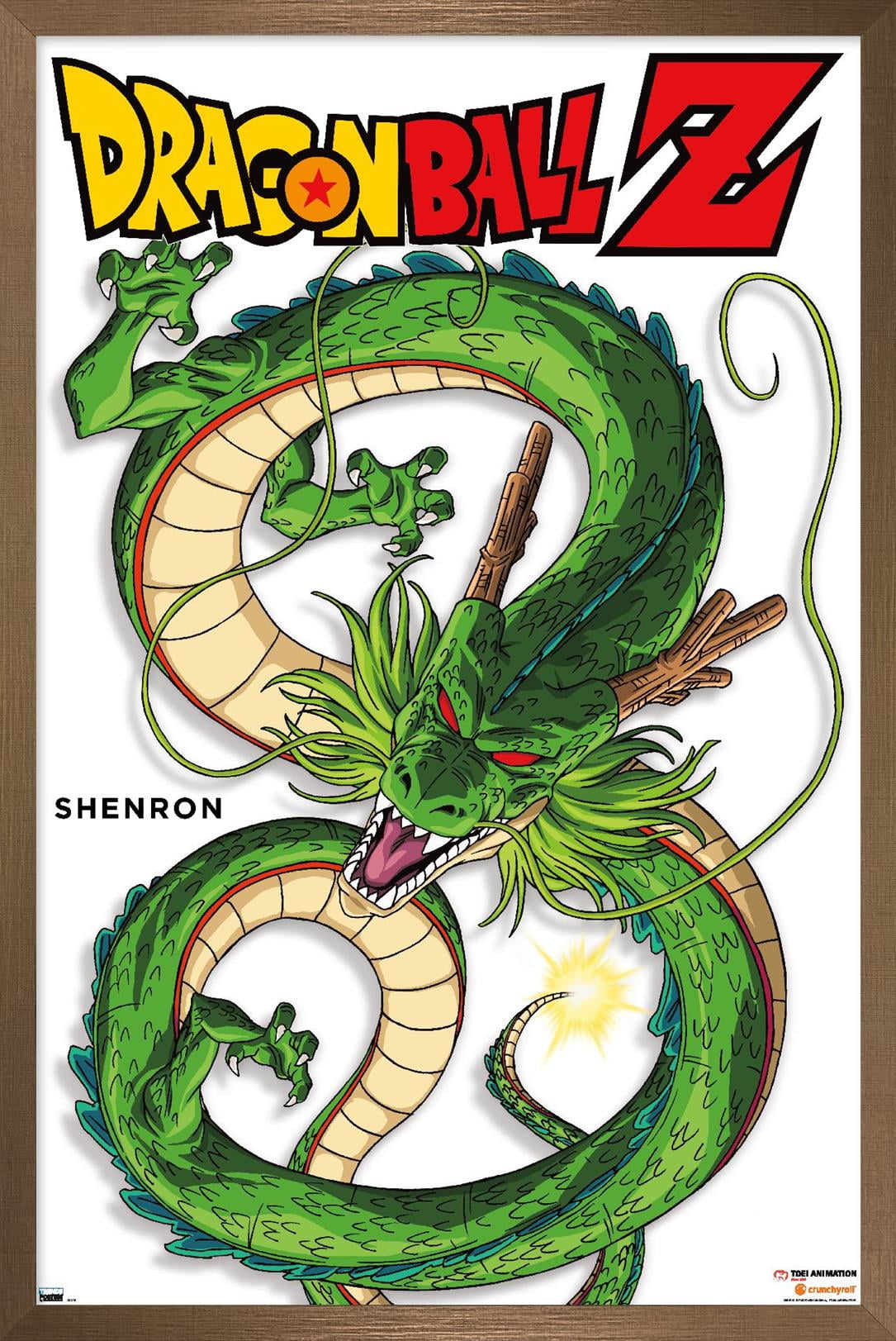 Dragon Ball Z - Shenron Feature Series Wall Poster, 22.375" x 34 ...