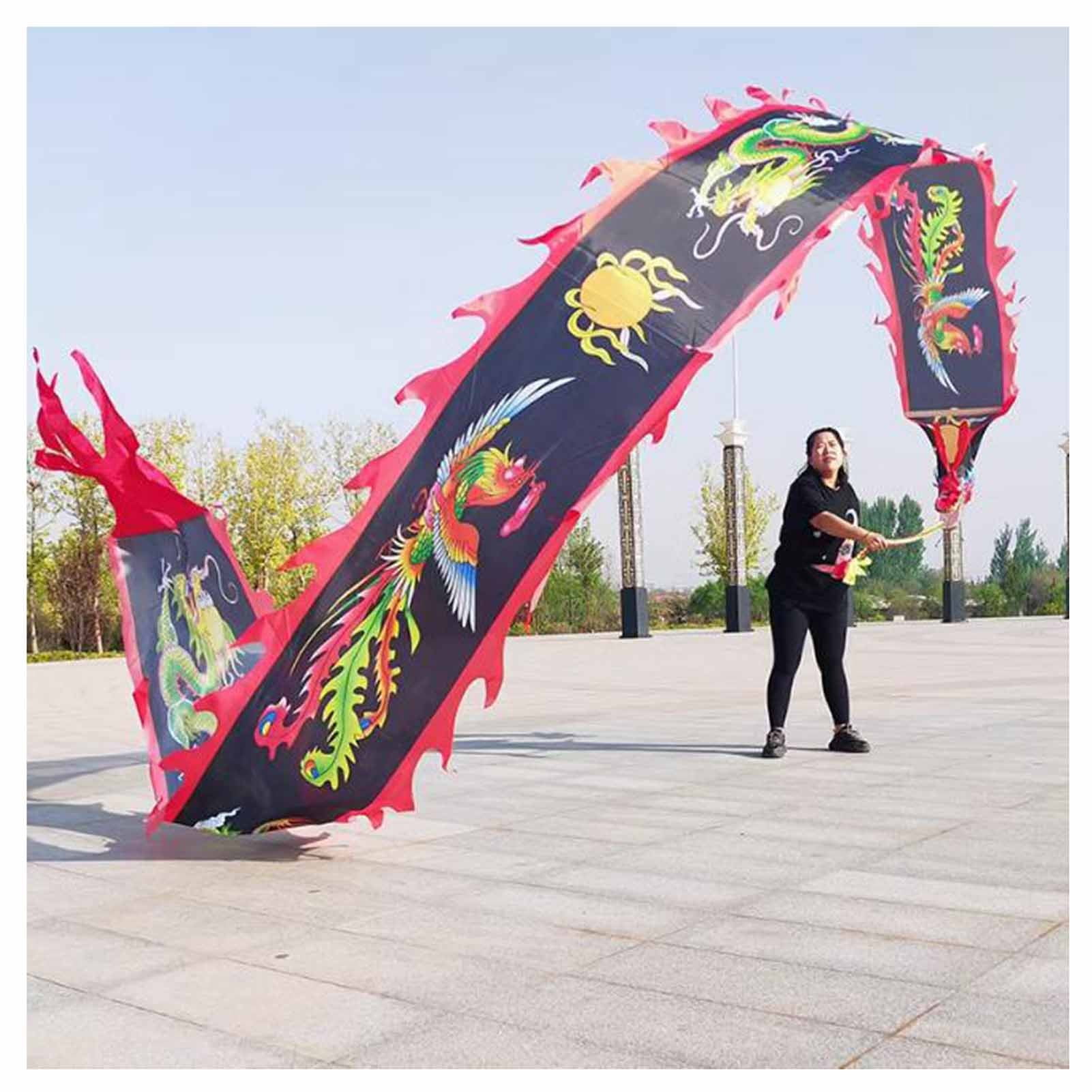 Dragon Dance Ribbon Set for Beginner, with Dragon Head,Outdoor Fitness ...