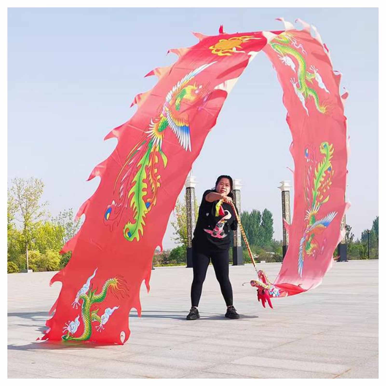 Dragon Dance Ribbon Set for Beginner, with Dragon Head,Outdoor Fitness ...