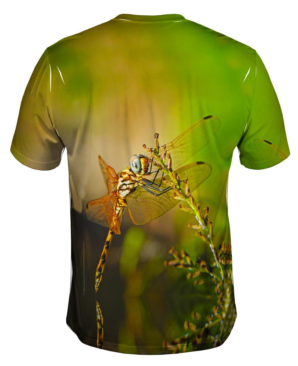 Dragon Fly At Rest Mens T-Shirt All Over Print - Walmart.com