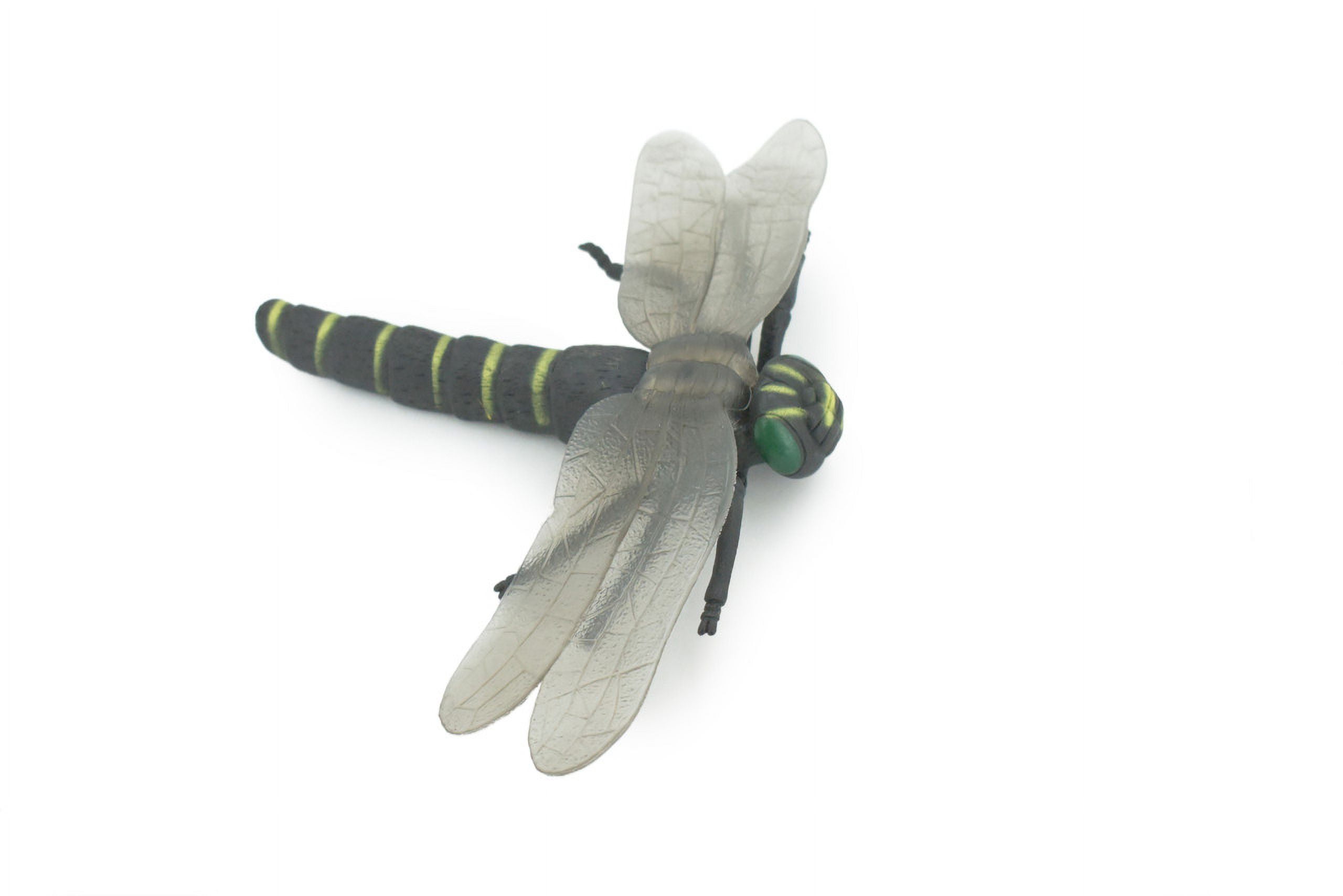 Dragon Fly, Golden-ringed Dragonfly, Rubber Insect, Educational, Toy ...