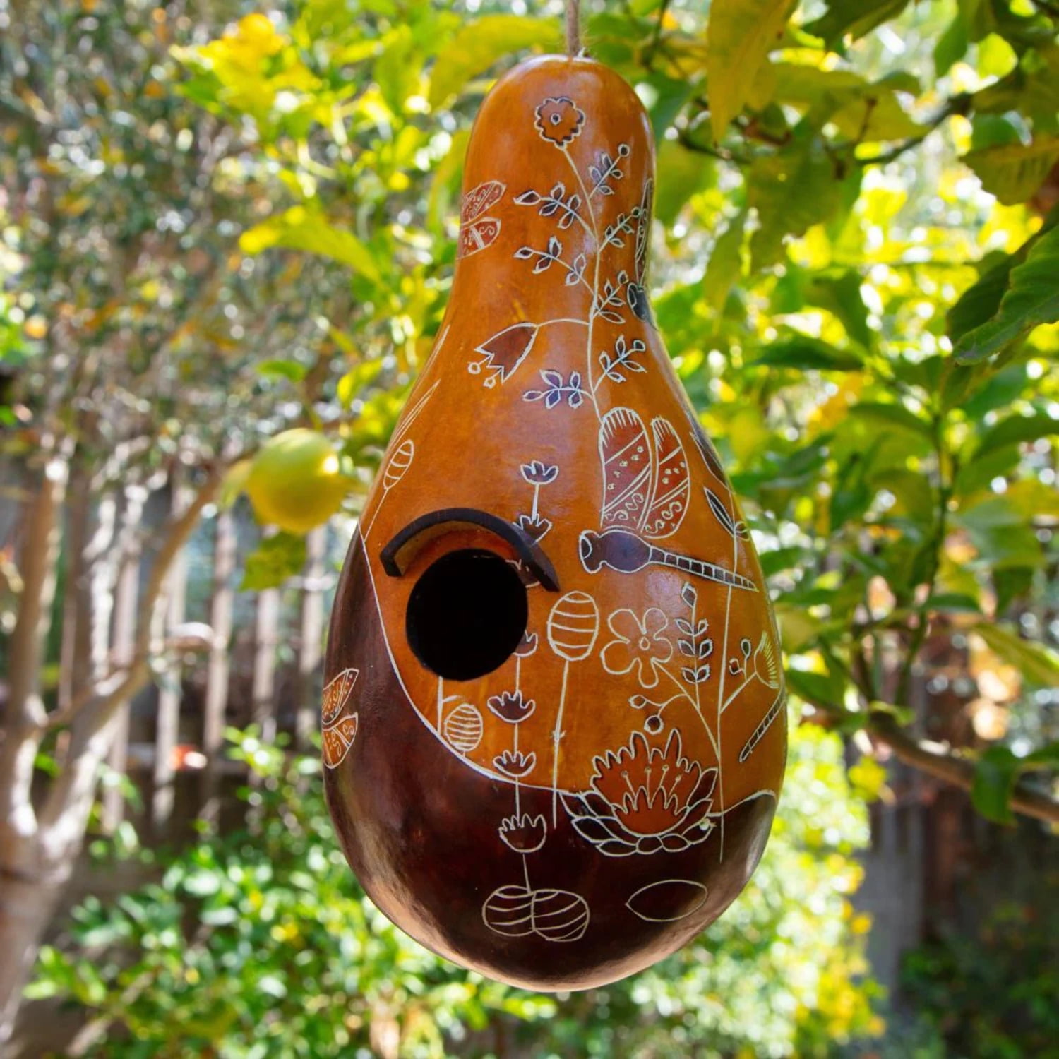 Dragon Fly Gourd Bird House - Walmart.com