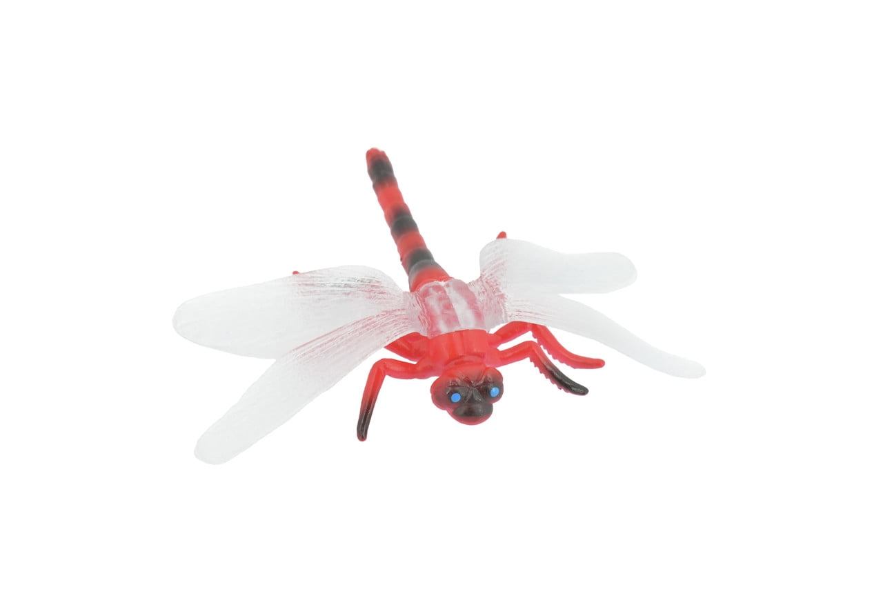 Dragon Fly, Red-veined Darter Dragonfly, Rubber Insect, Educational ...