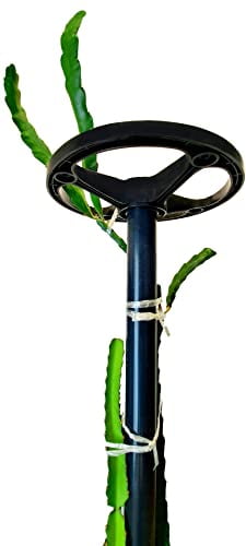 Dragon Fruit Trellis Tower Plant Cage Cactus Climbing Support (60-inch ...