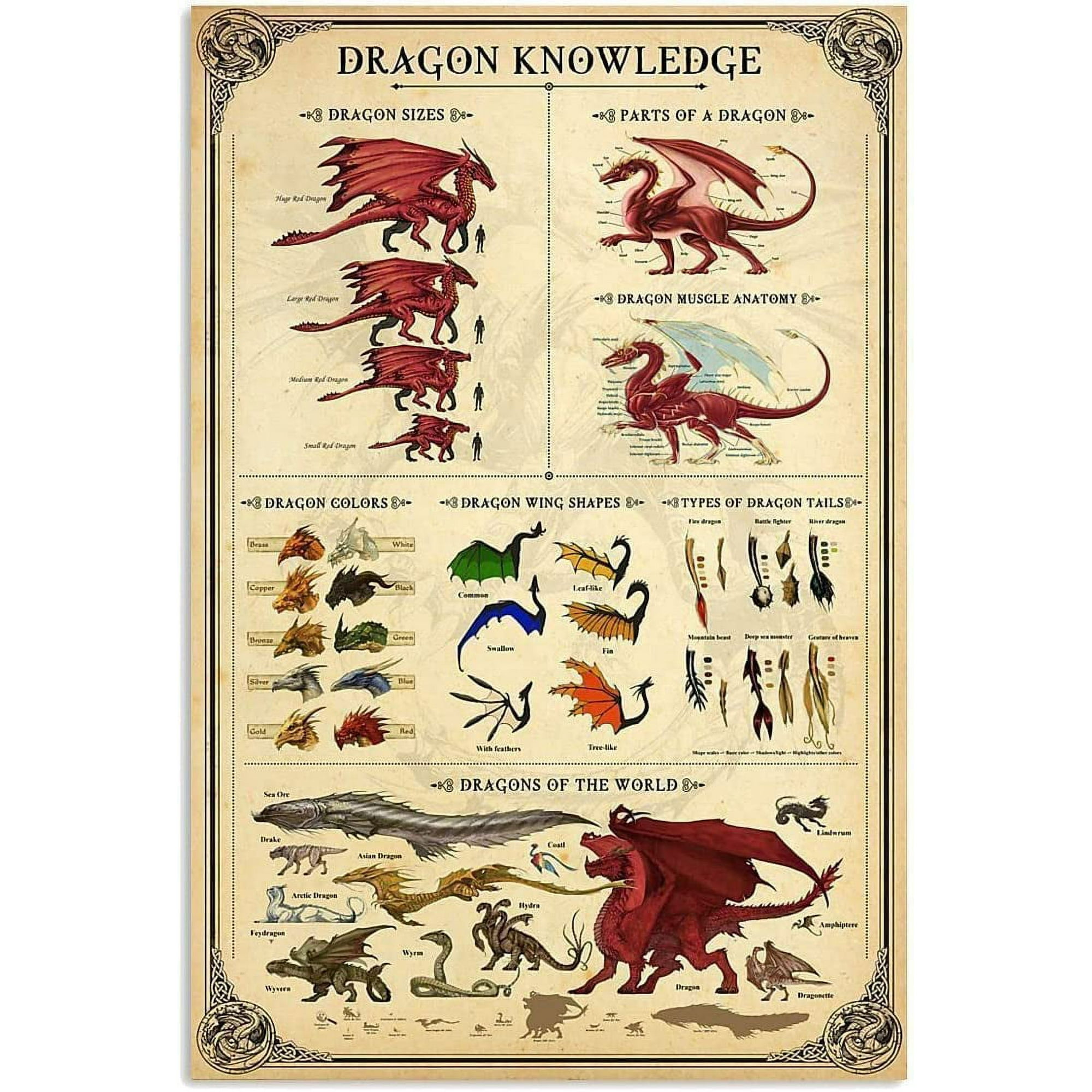 Kitchen Infographic Poster