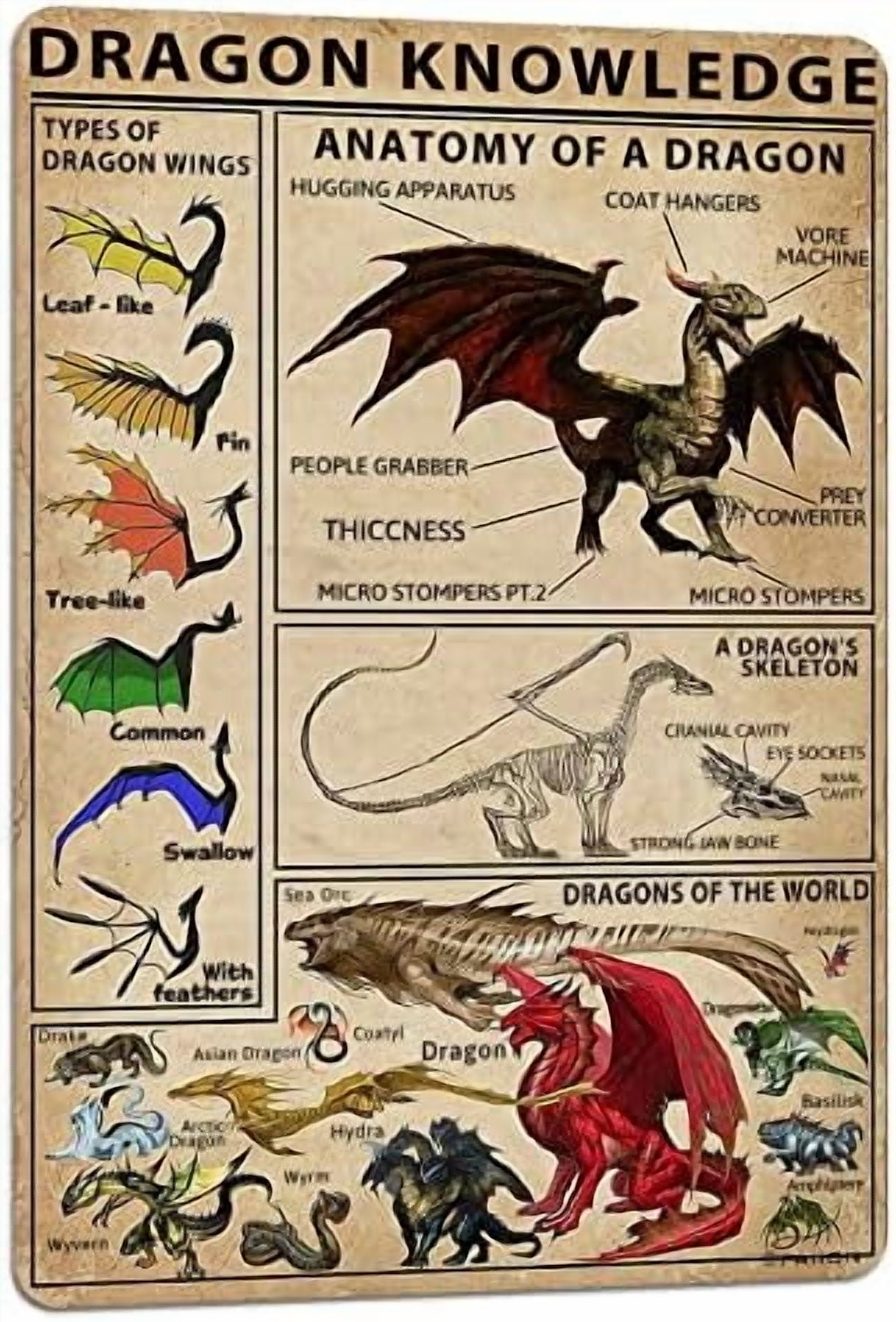 Dragon Knowledge Types of Dragon Wings Metal Sign 8x12 Inches, Boy ...