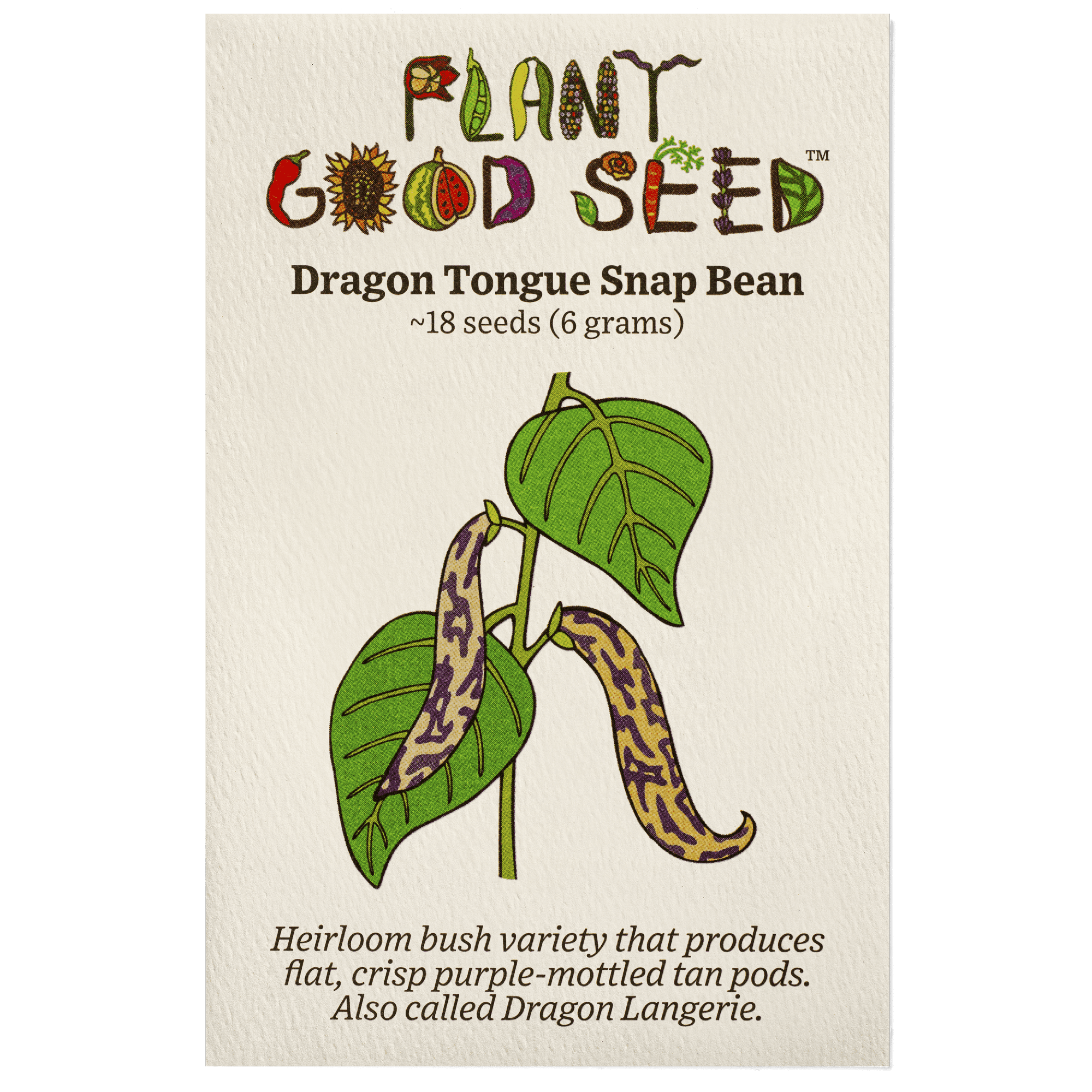 Plant Good Seed Dragon Tongue Snap Bean Seeds for Planting: Succulent ...