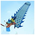Dragon Poi with Head and Swing Rope Combination, 3D Chinese Silk Dragon ...
