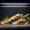 Dragon Rocks Aquariums Stones Natural Rocks for Aquascaping, Aquariums ...