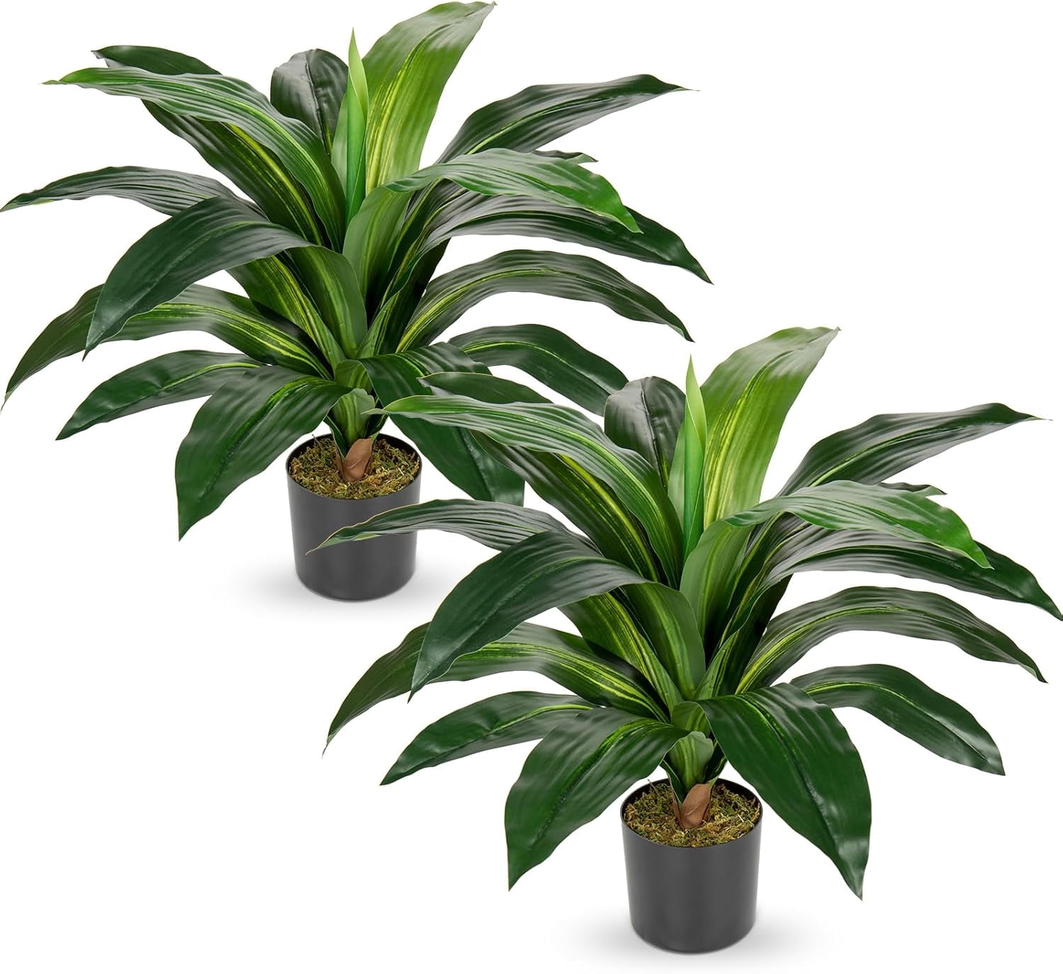 Dragon's Blood Tree Artificial Plant Large fake plant 22 inch high ...