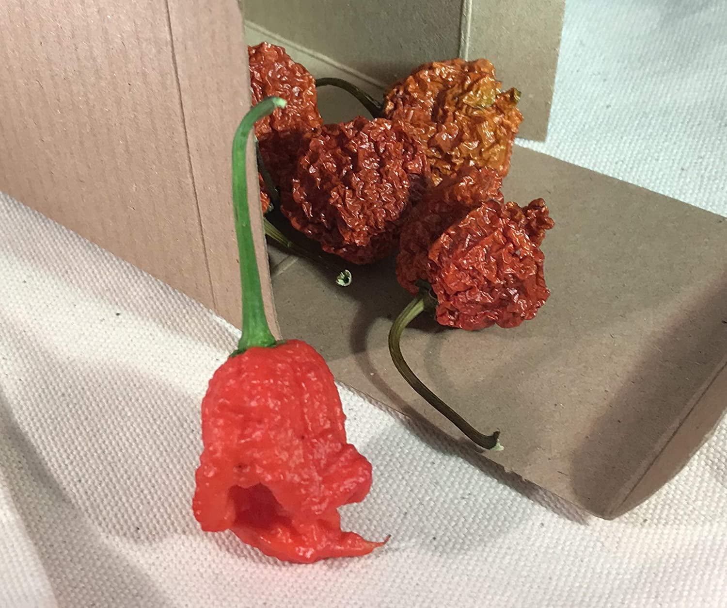 Dragons Breath Pepper