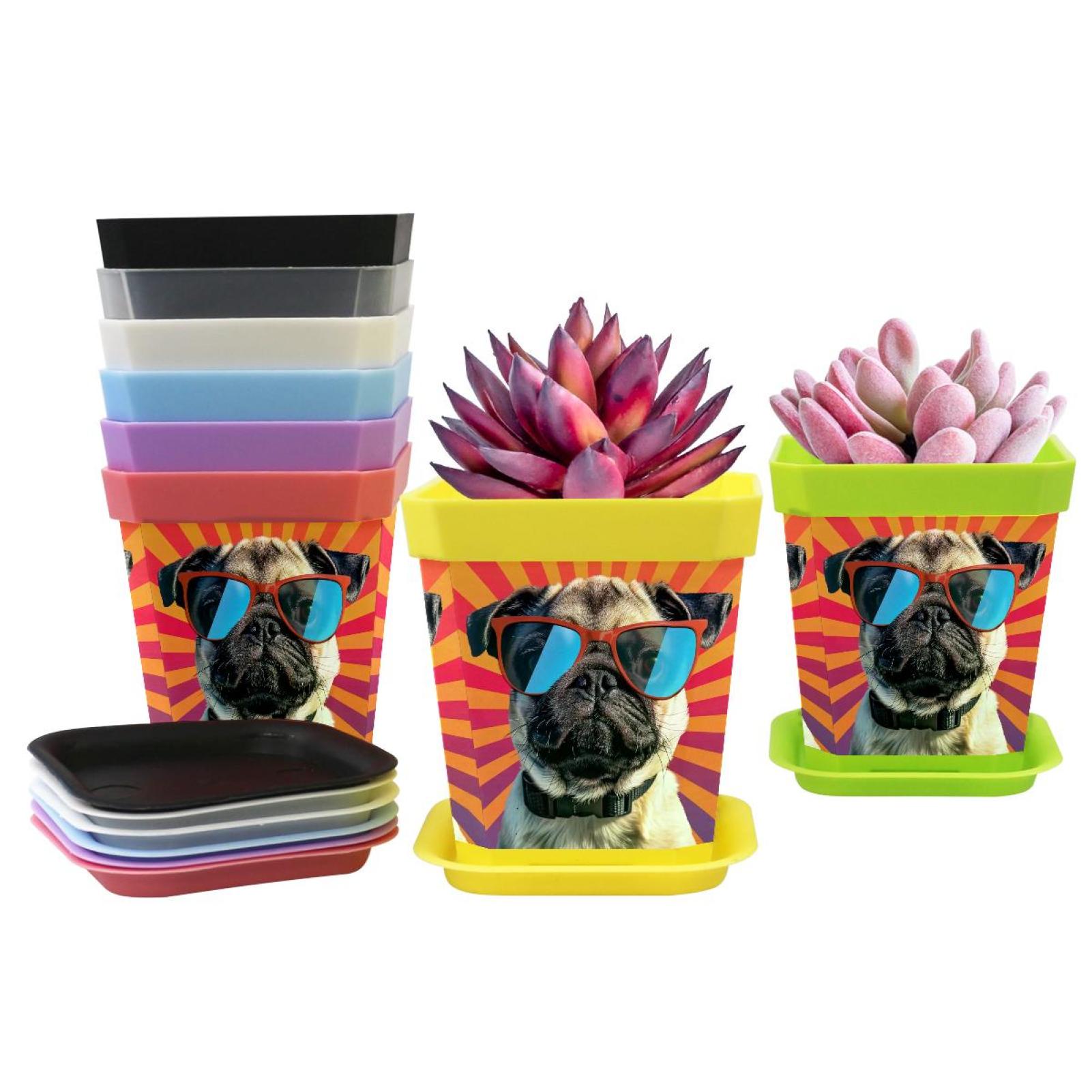 DragonBtu 8 Pack Square Plastic Planters with Drainage Holes and ...