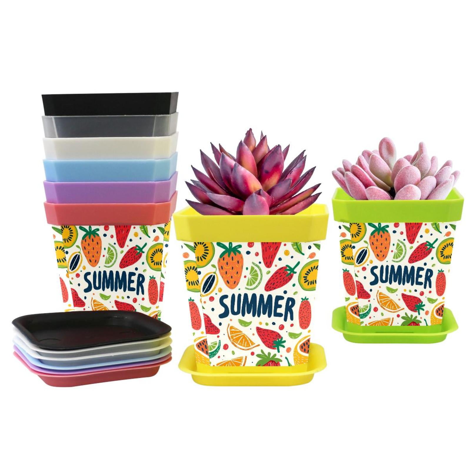 DragonBtu Fruits Summer Pattern Plant Pots - 2.75x3.14x1.96 in Square ...