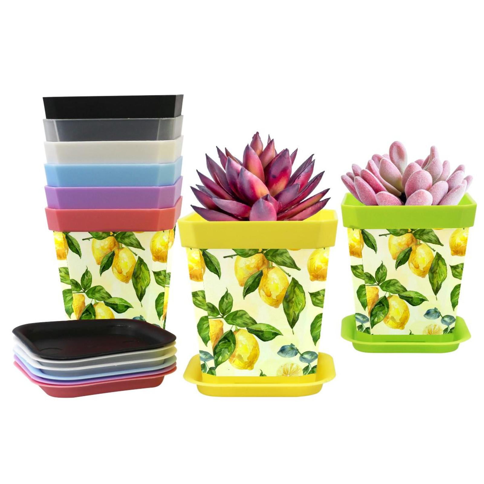 DragonBtu Lemon with Leaf Pattern Plant Pots - 2.75x3.14x1.96 in Square ...
