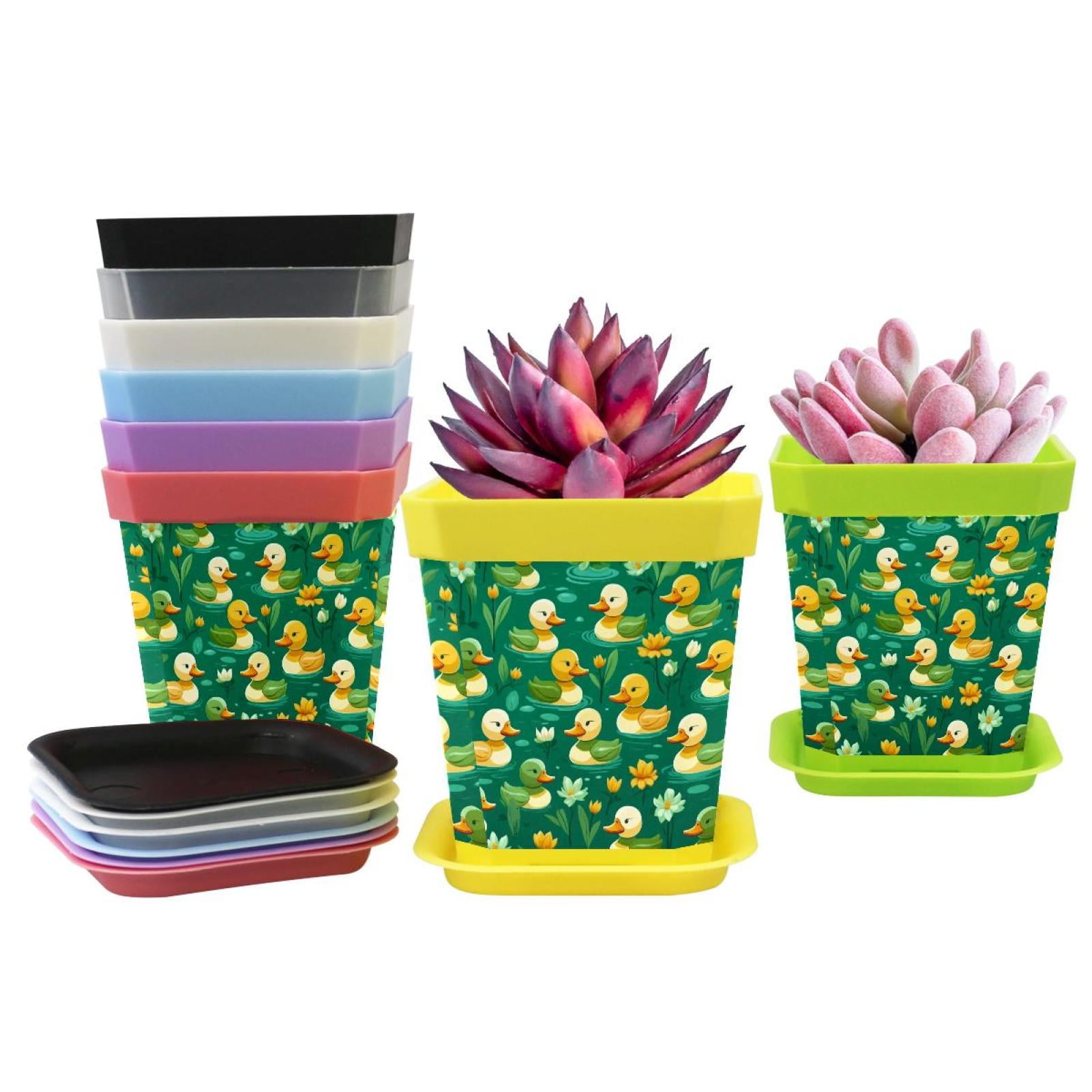 DragonBtu Plant Pots with Drainage - Home Decor Flower Pots for Indoor ...