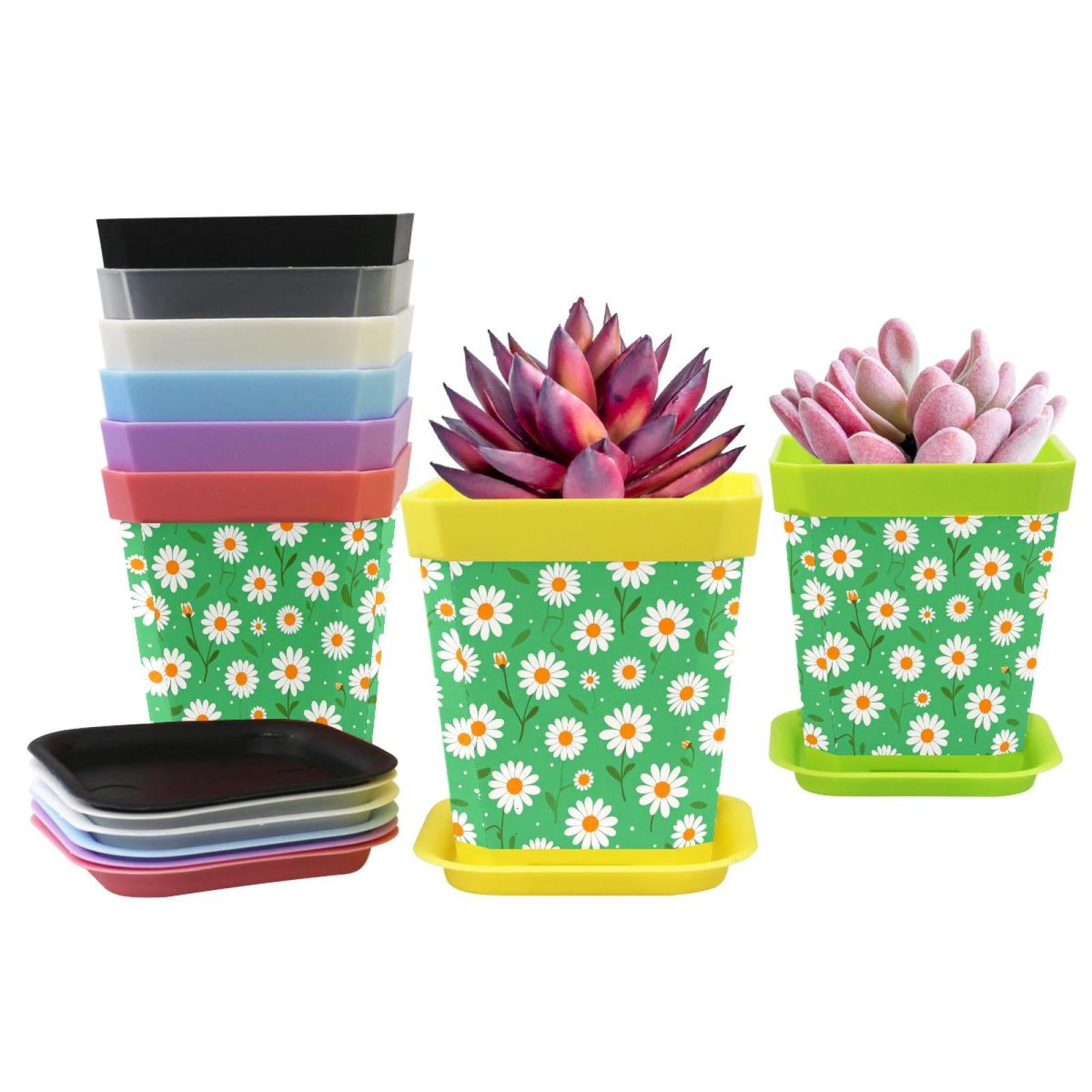 DragonBtu Plant Pots with Drainage - Home Decor Flower Pots for Indoor ...