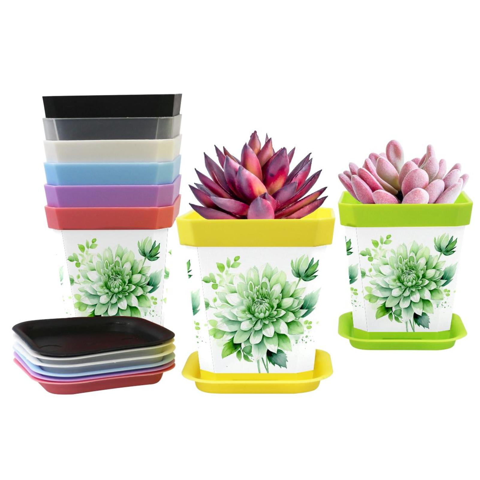 DragonBtu Plant Pots with Drainage - Home Decor Flower Pots for Indoor ...
