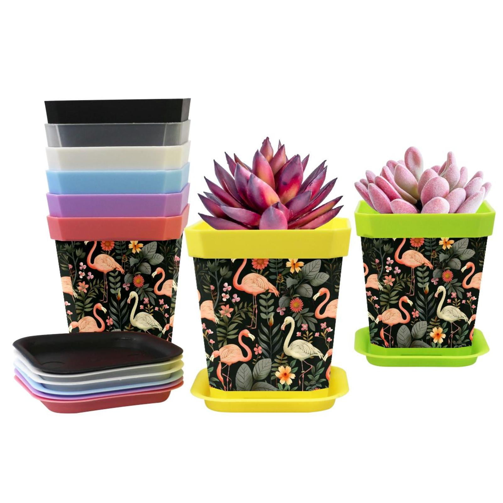 DragonBtu Plant Pots with Drainage - Home Decor Flower Pots for Indoor ...