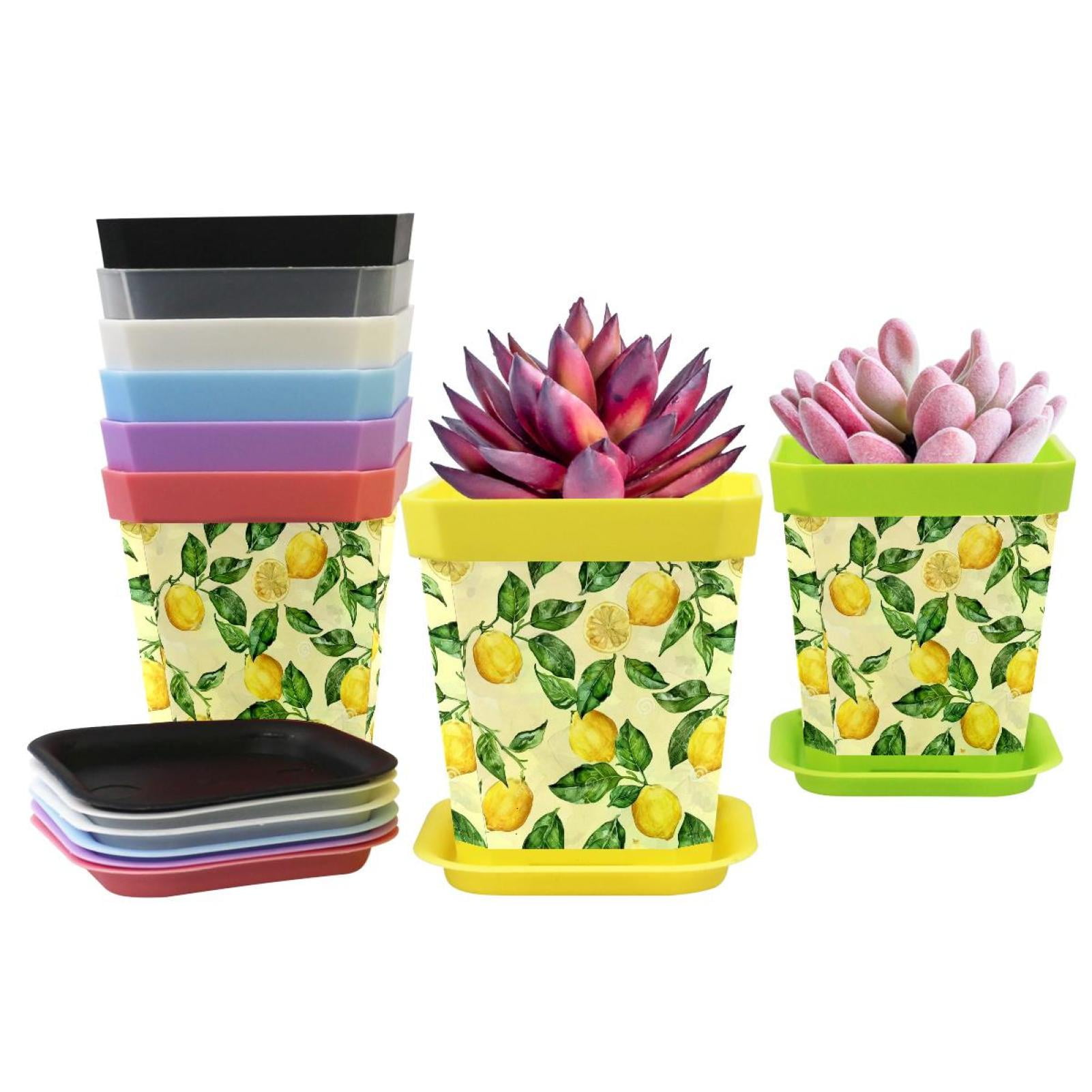 DragonBtu Plant Pots with Drainage - Home Decor Flower Pots for Indoor ...