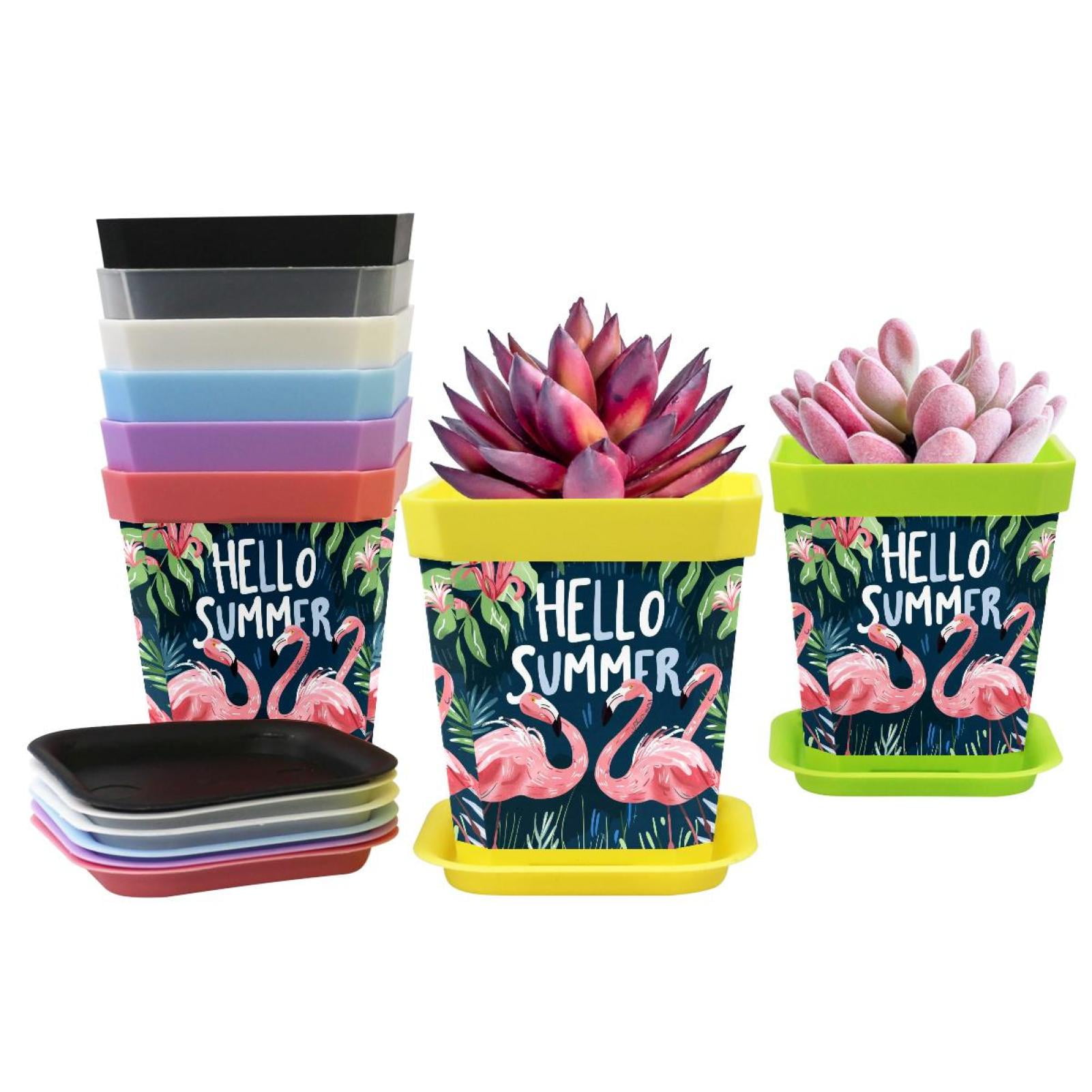 DragonBtu Plant Pots with Drainage - Home Decor Flower Pots for Indoor ...