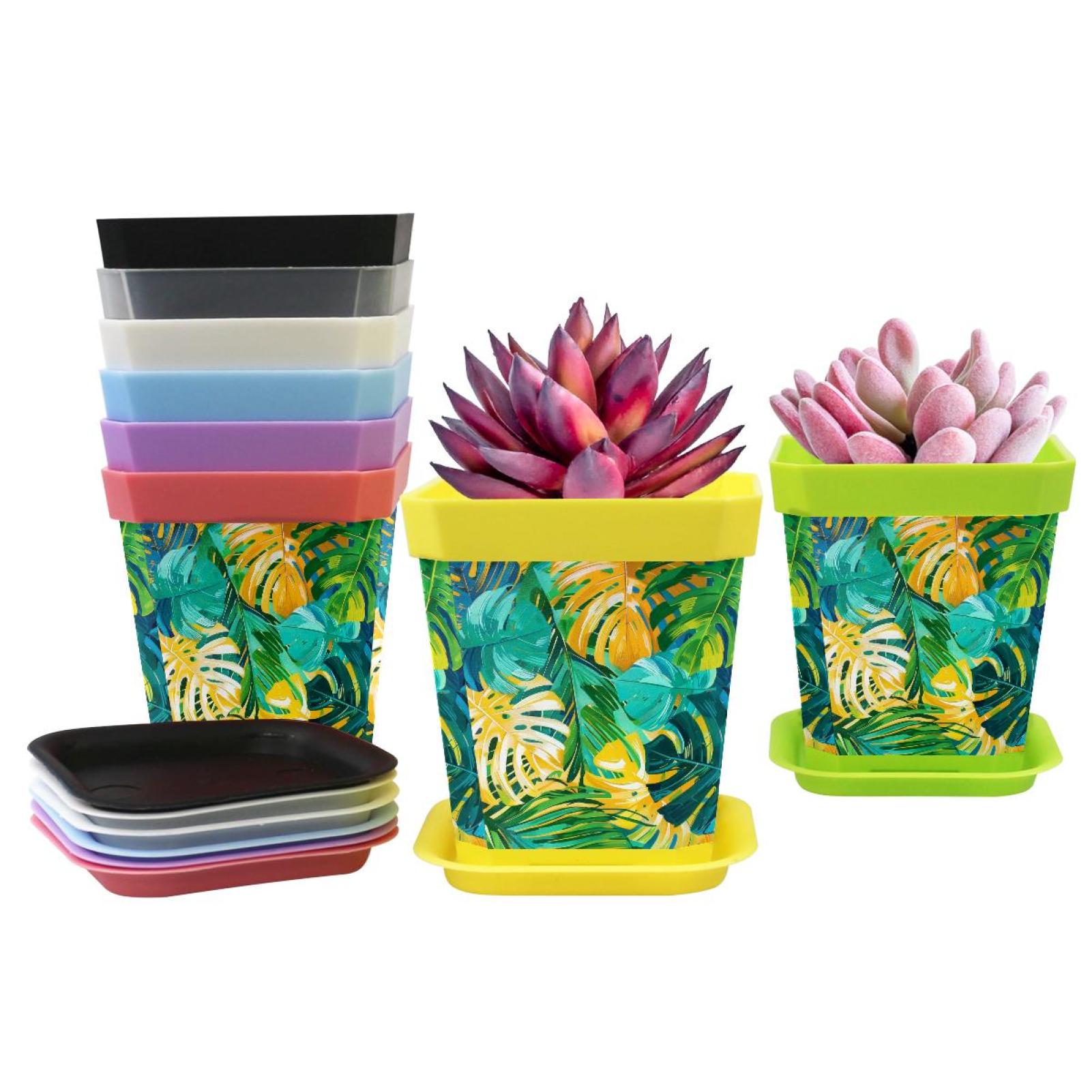 DragonBtu Small Plant Pots, 8 Pack Flower Pots, Planters for Indoor ...
