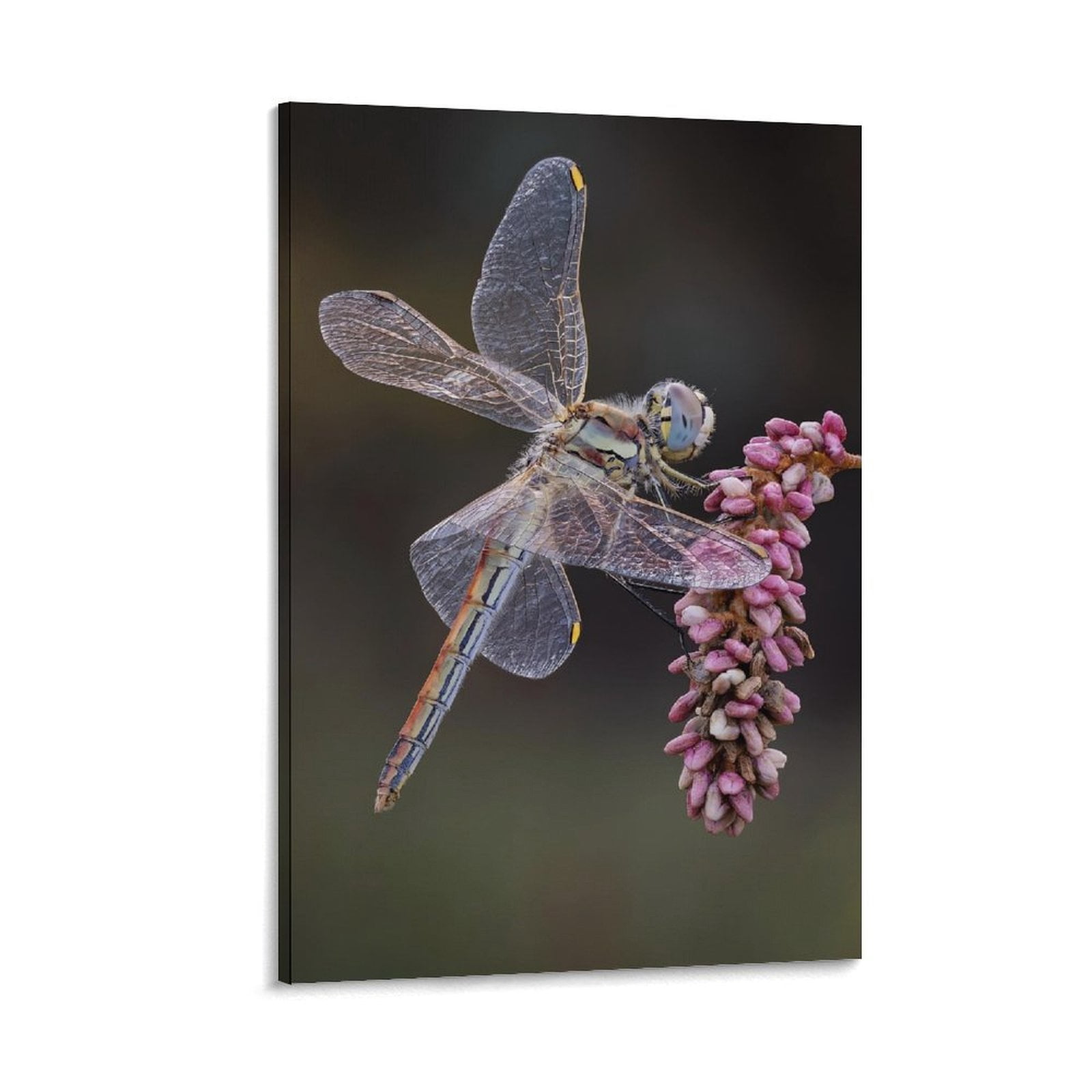 Dragonfly Aesthetic Animal Posters Wall Art Painting Canvas Gift Living ...