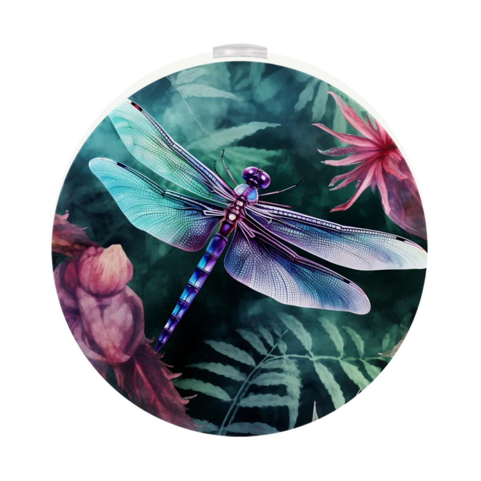 Dragonfly Circular Night Lights - 2 Pack Inductive Light Control LED ...