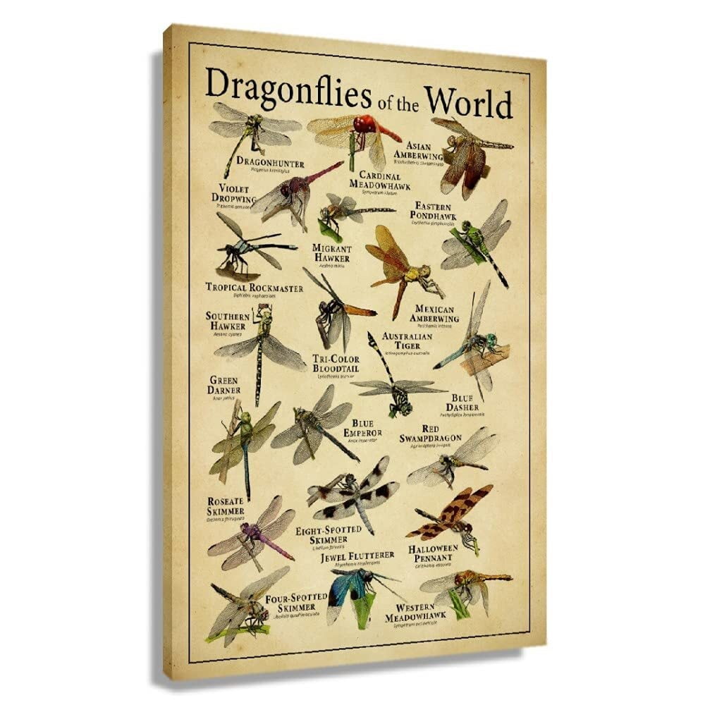 The Dragonfly Decor Posters Aesthetic Garden Art Giclee Canvas ...