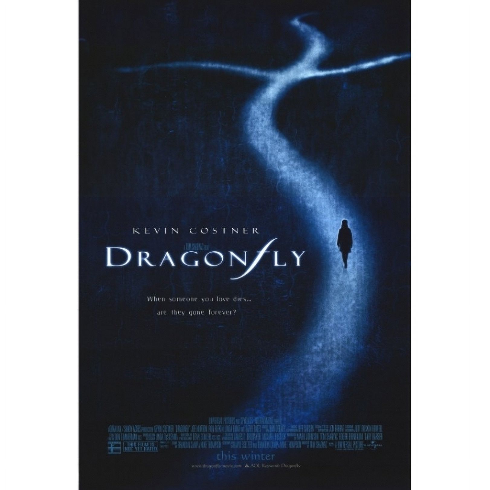 Dragonfly Movie Poster (11 x 17) - Walmart.com