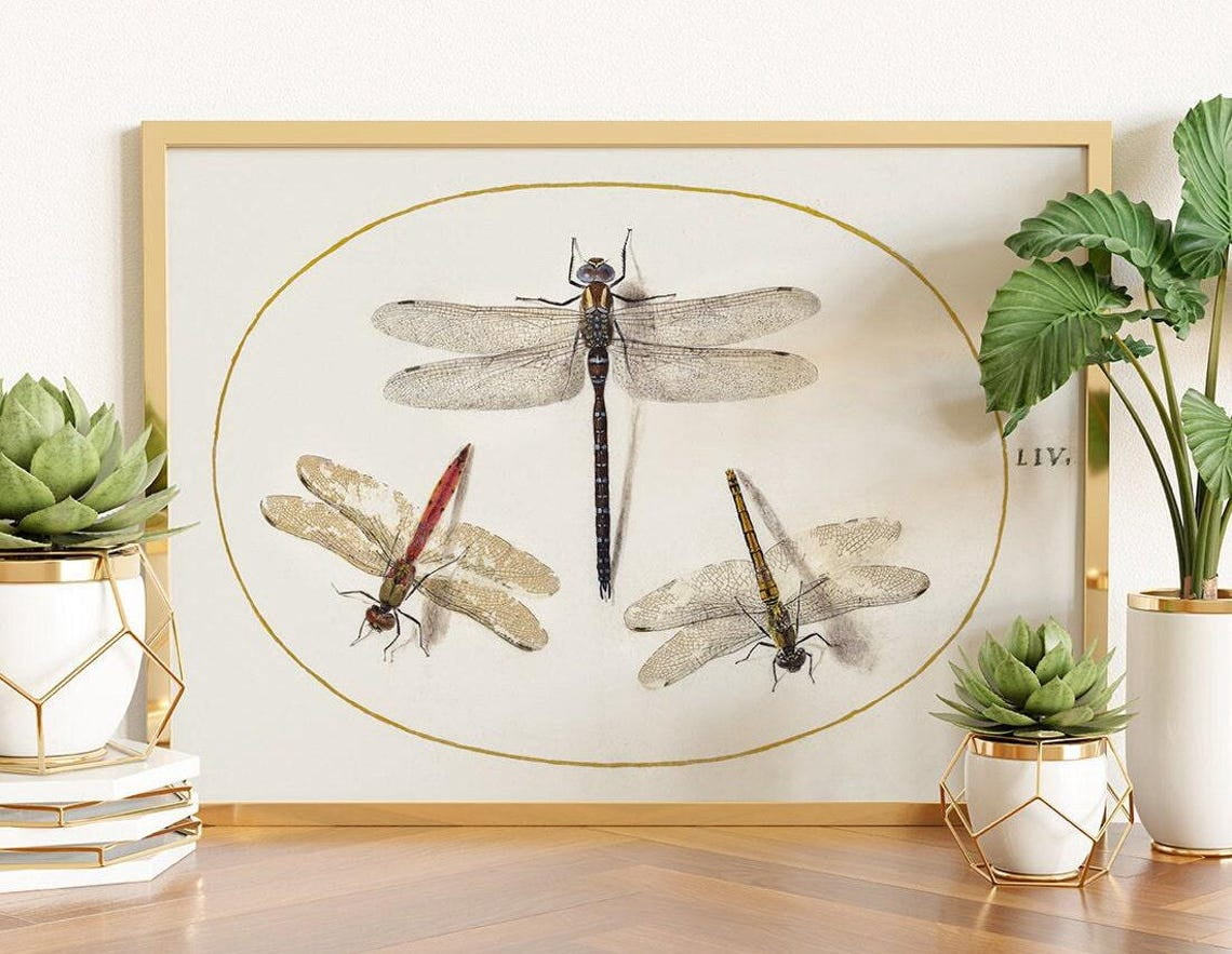 Dragonfly Poster, Dragonfly Wall Art, Dragonfly, Vintage Wall Decor ...